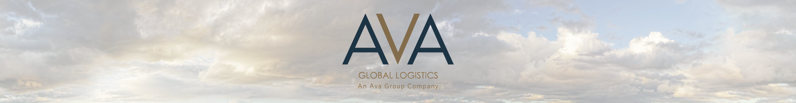 Ava Group | Our Companies | Security Risk Management
